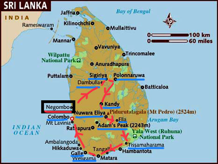 Lo Mejor De Sri Lanka Cu ndo Ir C mo Moverse Y Qu Ver En Dambulla Lo Mejor De Sri Lanka Cu ndo Ir C mo Moverse Y Qu Ver En Dambulla