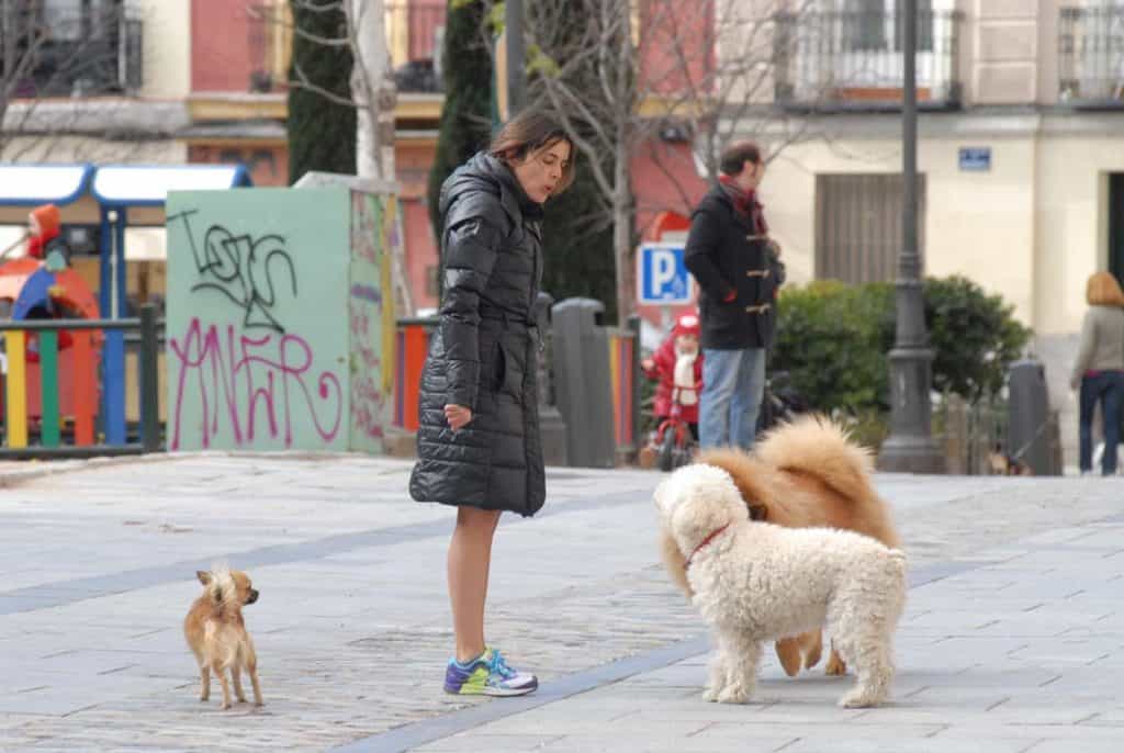 Adriana Ugarte se consuela, paseando a sus perros - magazinespain.com Adriana Ugarte se consuela, paseando a sus perros - magazinespain.com
