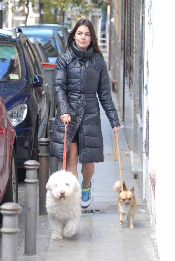 Adriana Ugarte se consuela, paseando a sus perros - magazinespain.com Adriana Ugarte se consuela, paseando a sus perros - magazinespain.com